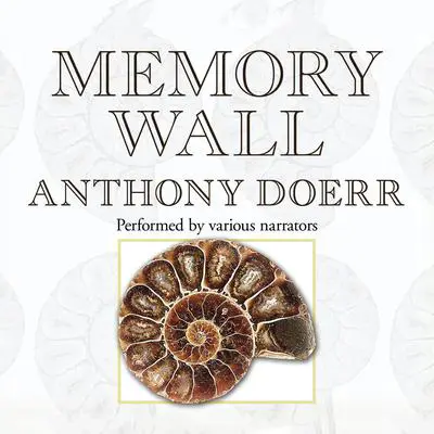 Memory Wall Audiobook by Anthony Doerr — Listen & Save