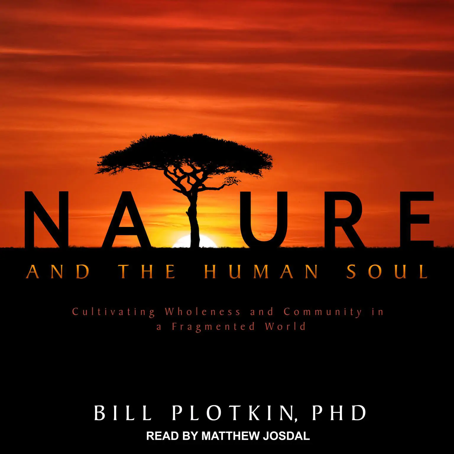 Nature and the Human Soul Audiobook by Bill Plotkin — Download Now