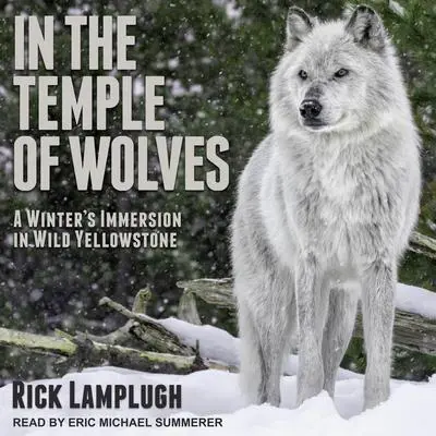 In the Temple of Wolves Audiobook by Rick Lamplugh — Download Now