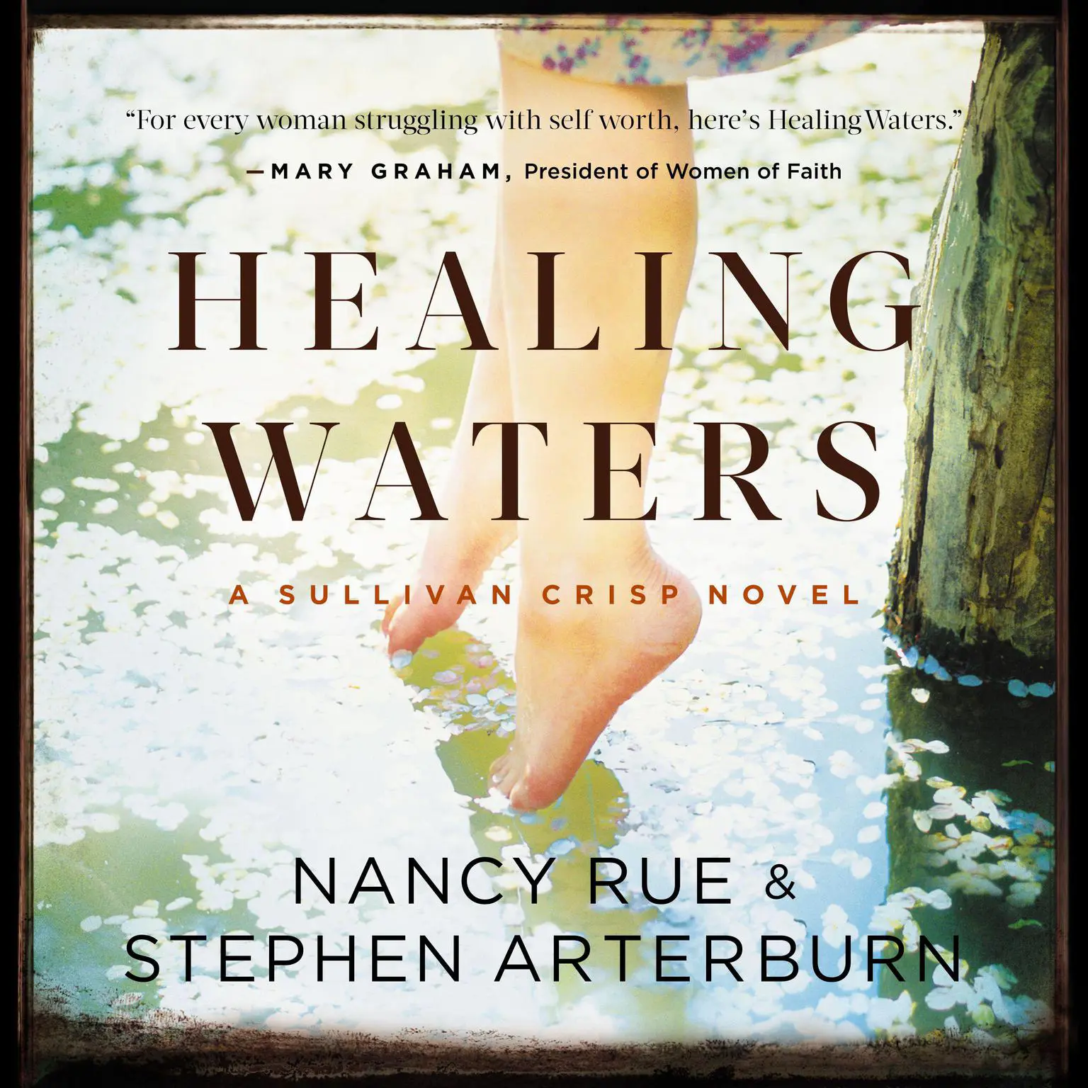 Healing Waters Audiobook by Nancy N. Rue — Download Now